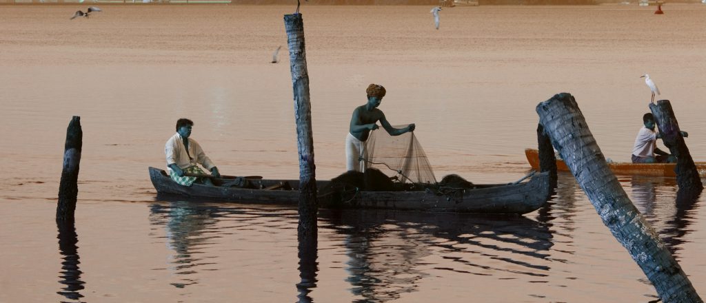 10 Activities to explore in Alappuzha - Live Kerala
