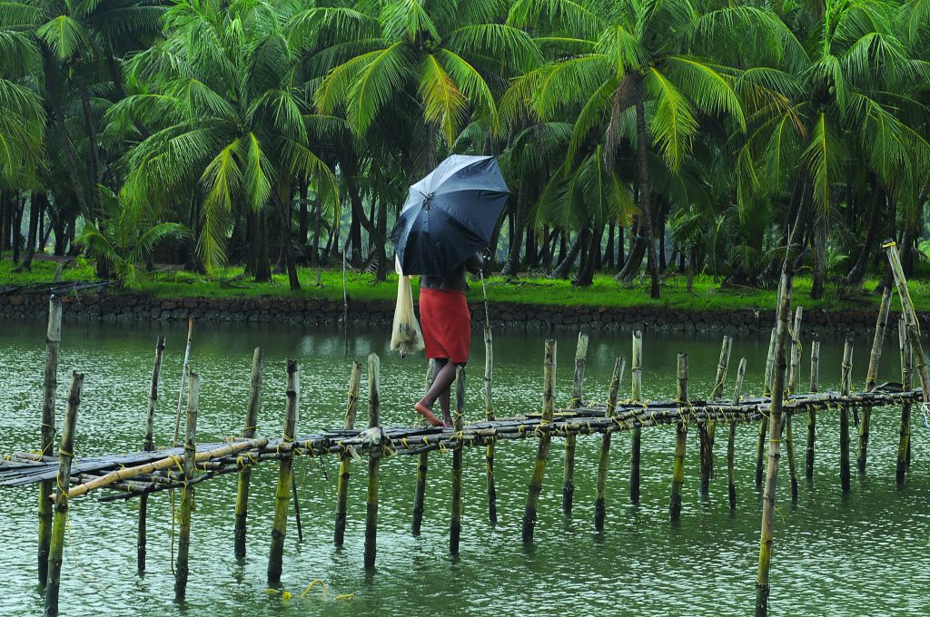 10 Activities to explore in Alappuzha - Live Kerala