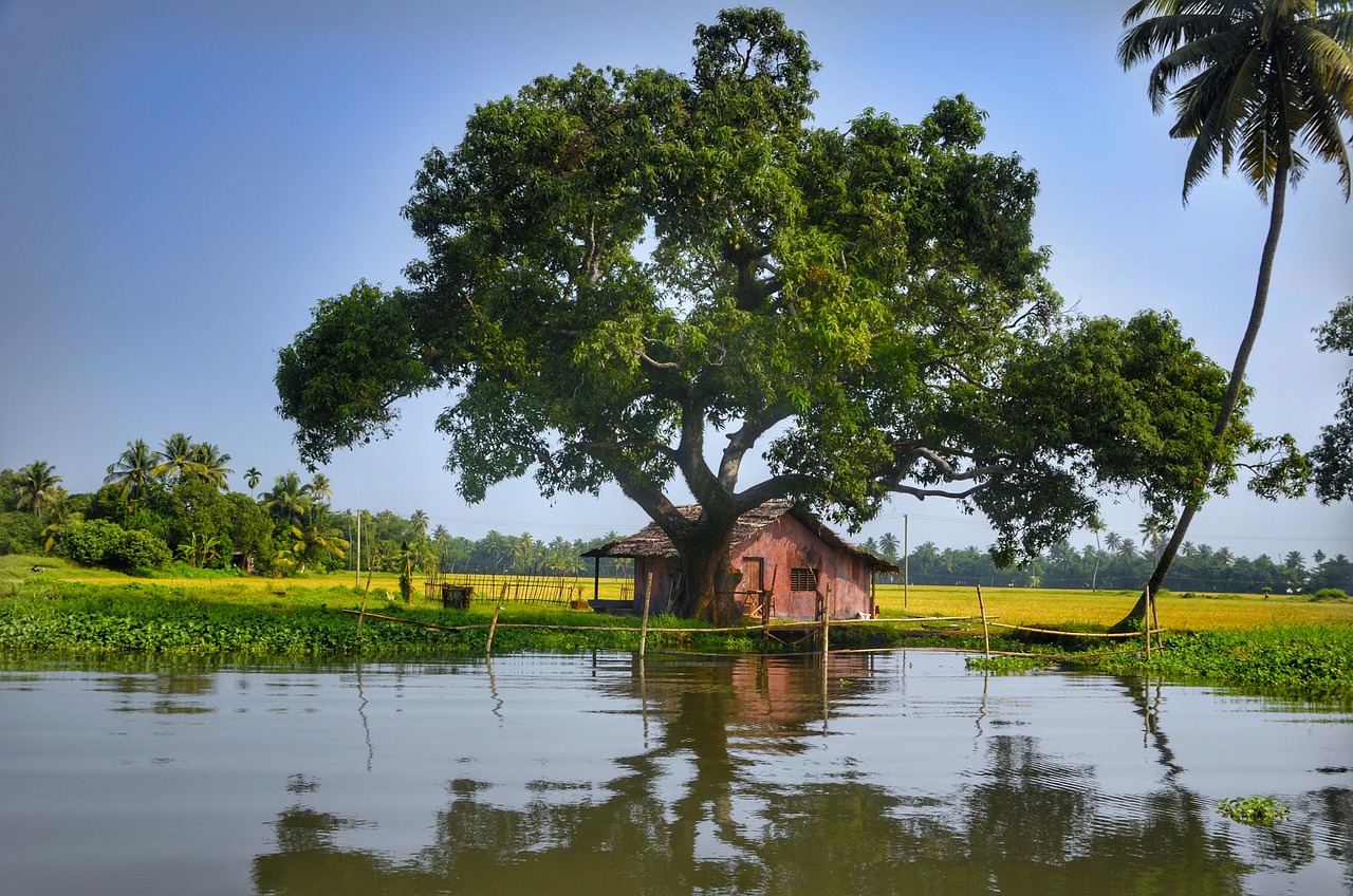 Things To Do in Alleppey - Live Kerala