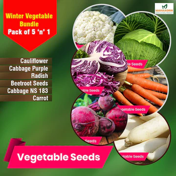 All These Seeds Will Germinate - Live Kerala