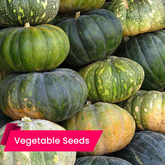Online Store to Buy Home Gardening Vegetable Seeds - Live Kerala
