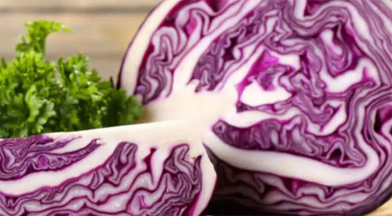 Cabbage Purple – High-Yielding Hybrid F1 Vegetable Seeds; Buy Seeds ...